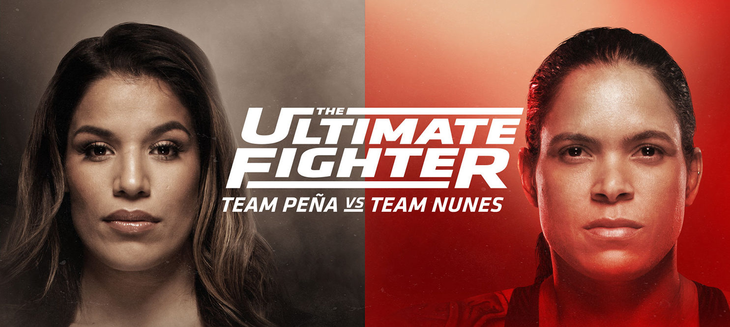 The Ultimate Fighter - Pilgrim Studios